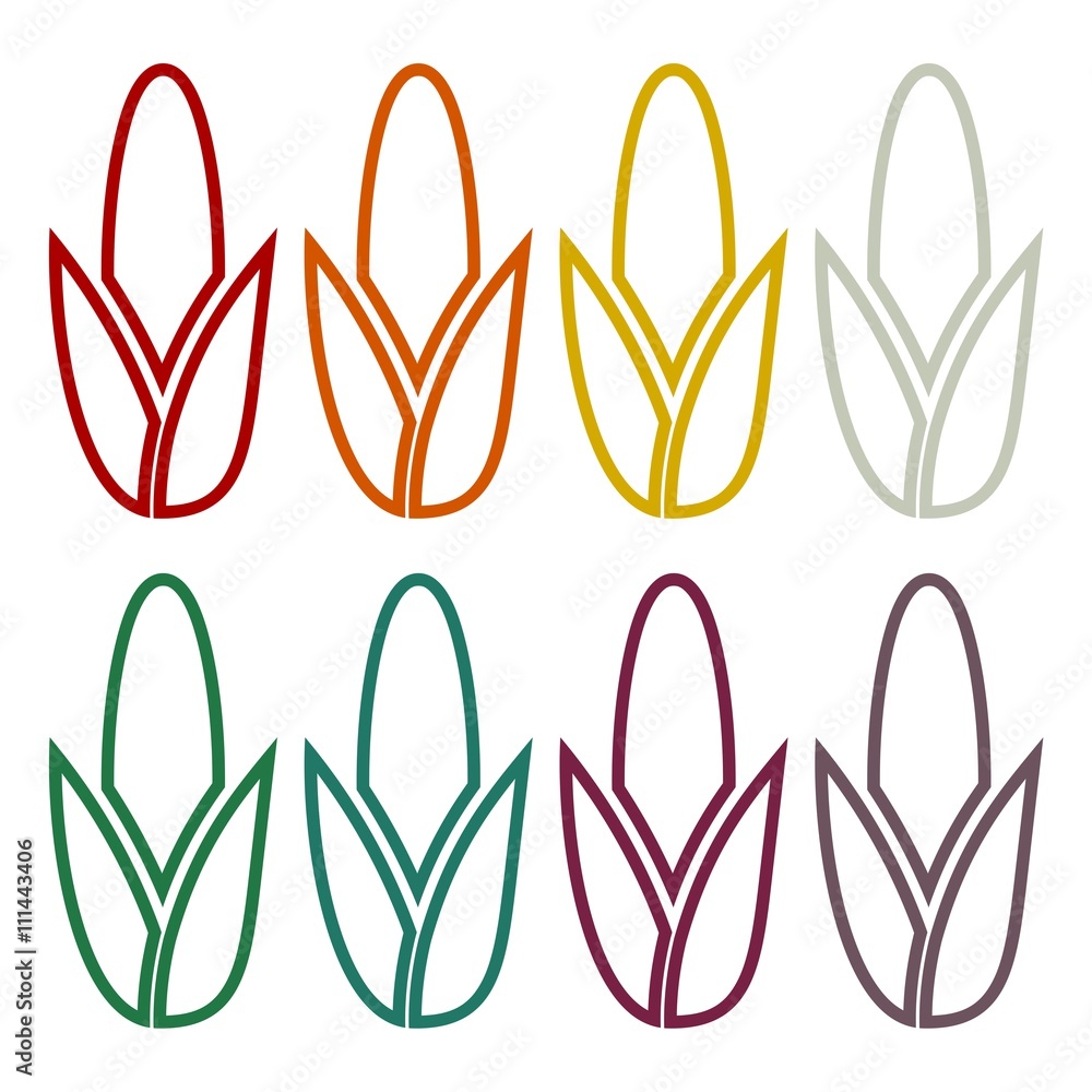 Ear Of Corn Template