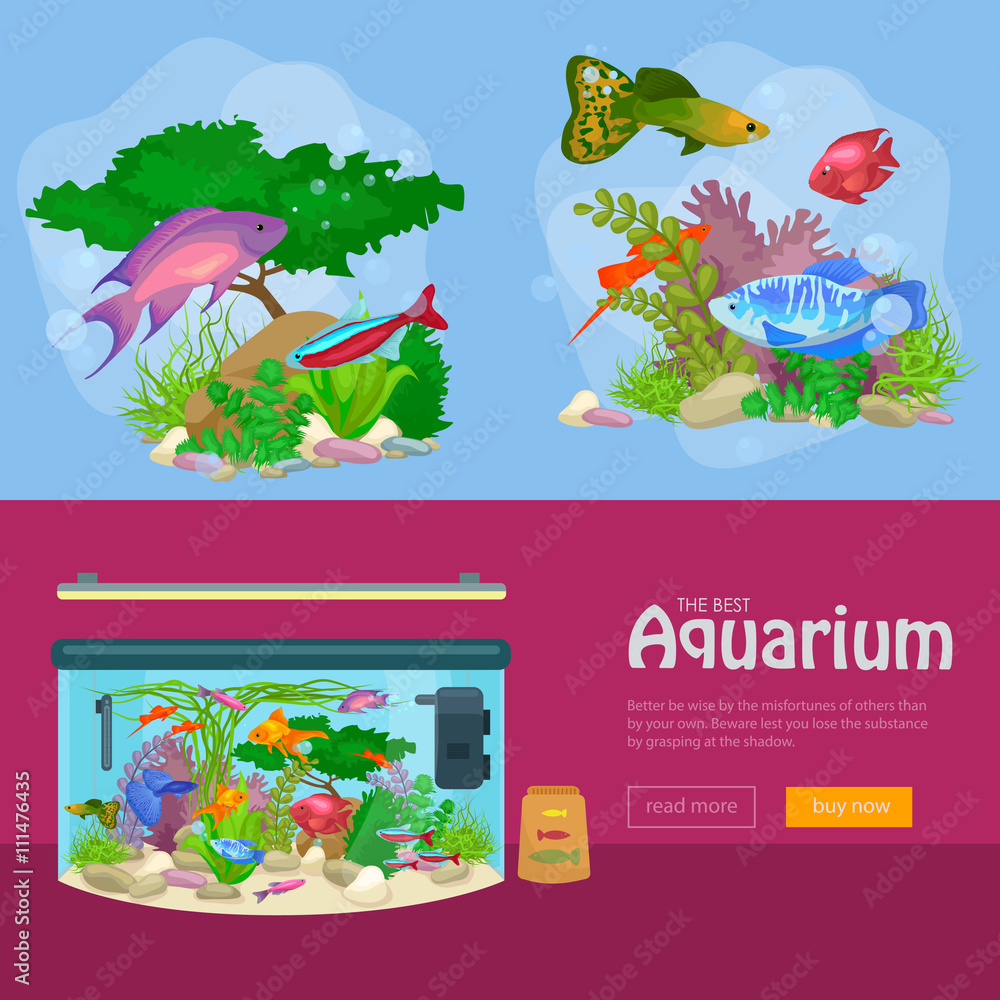 Aquarium fish, seaweed underwater, banner template layout with marine ...