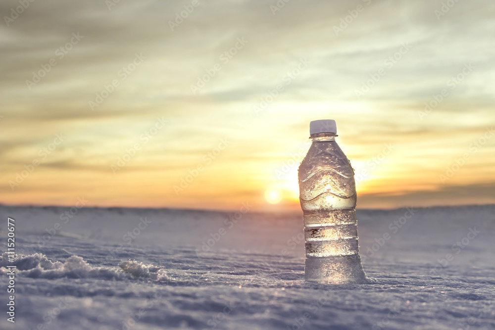 Frosty Water Bottle