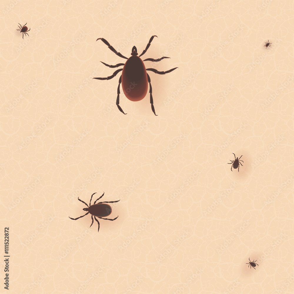 Encephalitis tick. Mite skin dust parasite vector icon illustration ...