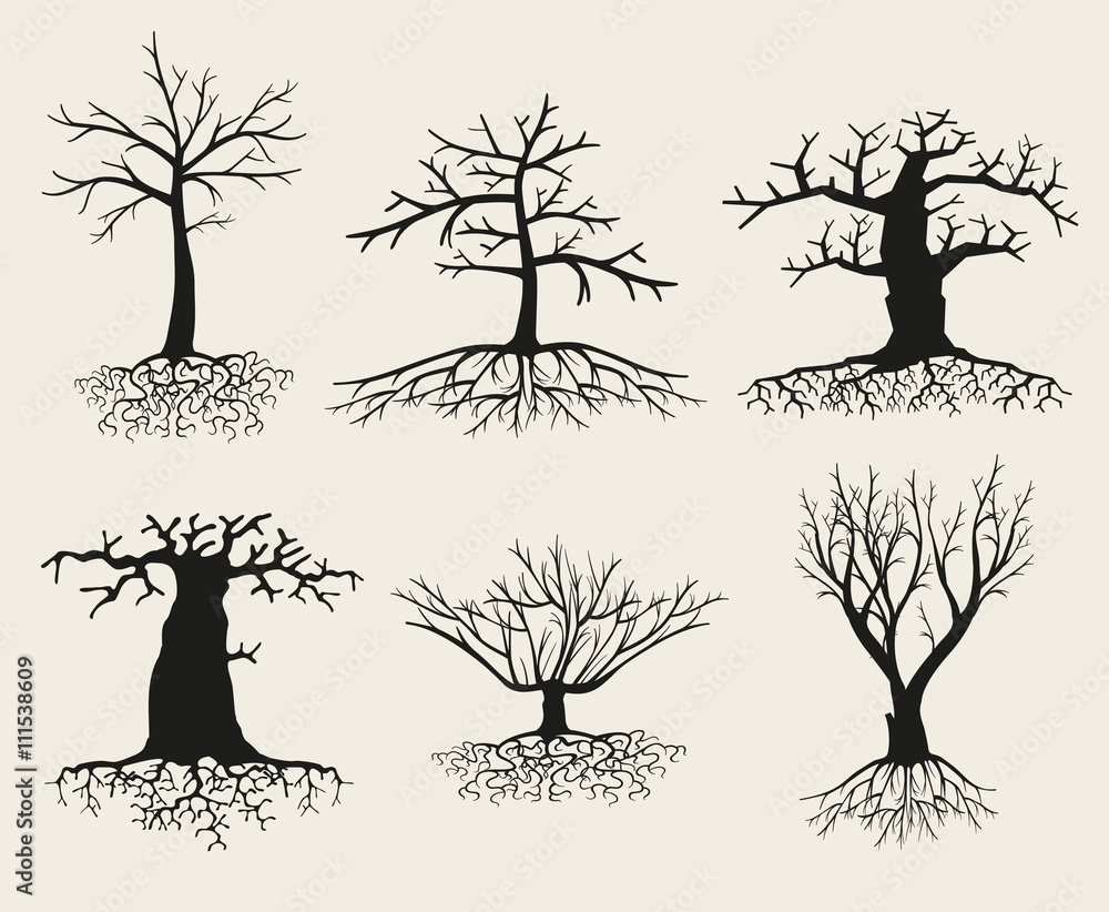 Vector bare tree silhouettes with roots Stock Vector | Adobe Stock