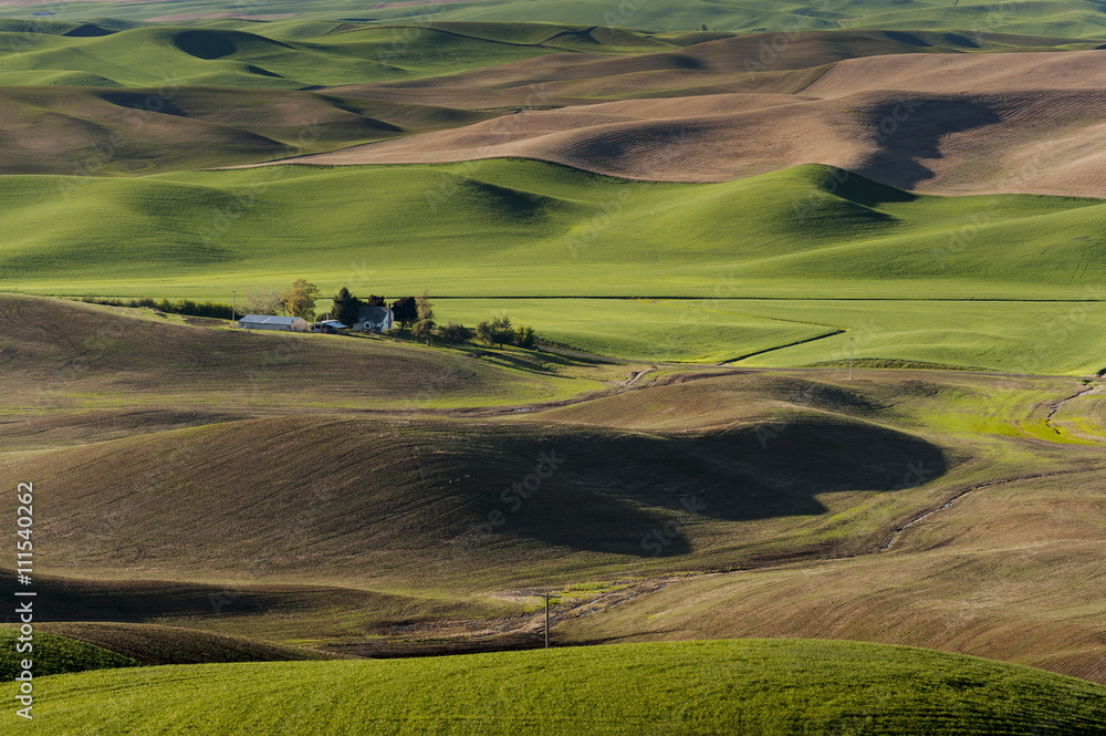 Washington Palouse. A spectacular sunset view from Steptoe Butte State ...