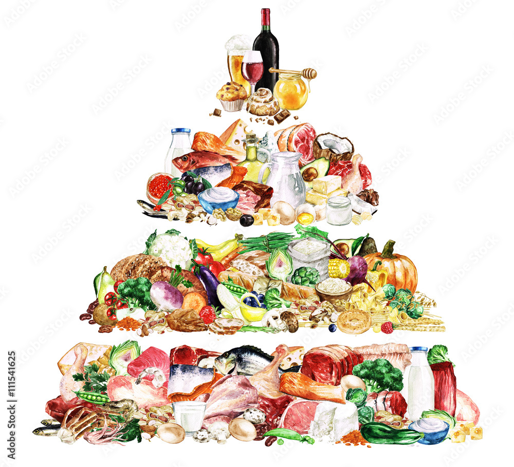 Watercolor Food Clipart - Healthy Balanced Nutrition - High Protein ...