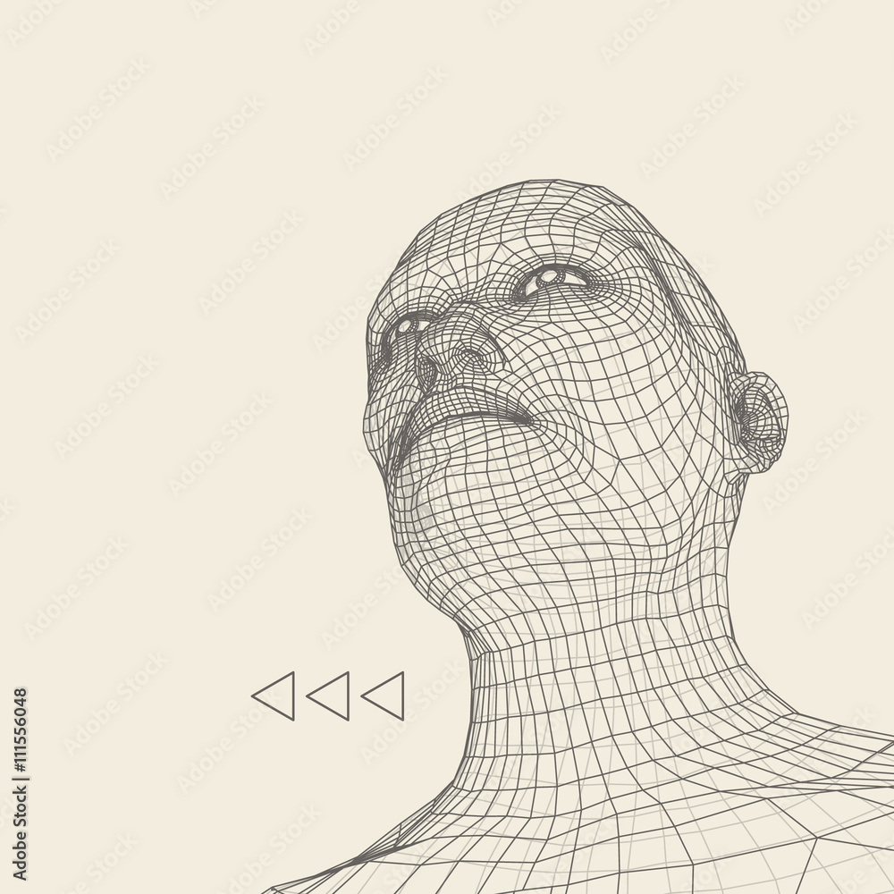 Head of the Person from a 3d Grid. Human Head Wire Model. Human Polygon Head. Face Scanning ...