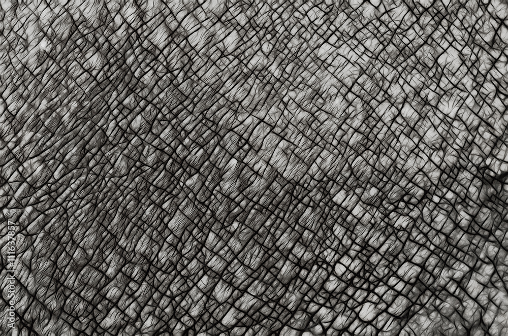 Black and white animal skin texture design Stock Illustration | Adobe Stock