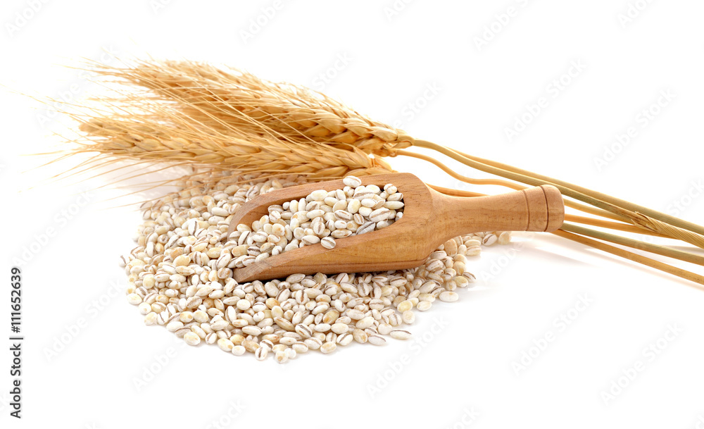 Barley grains isolated on white background. Stock Photo | Adobe Stock