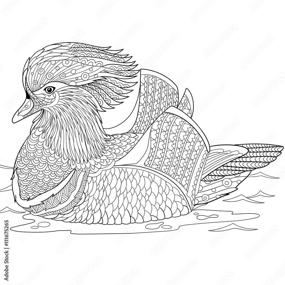 Zentangle stylized cartoon mandarin duck, isolated on white background ...