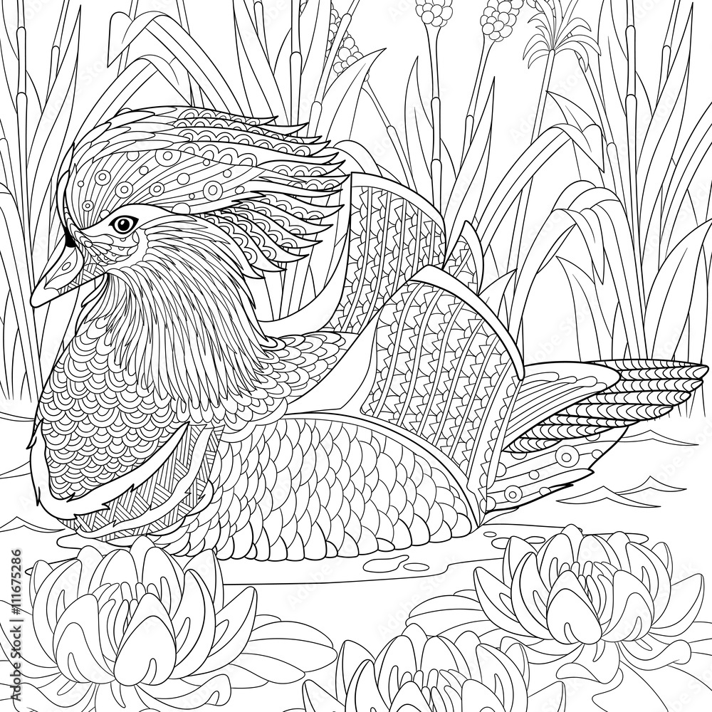 Zentangle stylized cartoon mandarin duck swimming among water lilies ...