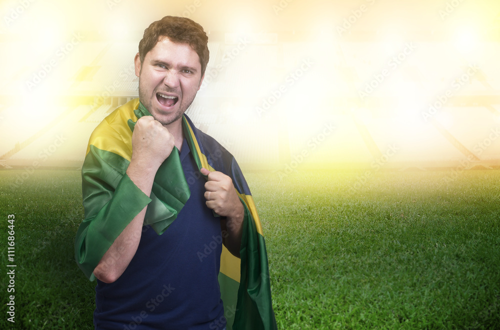 Torcedor Brasil Stock Photo | Adobe Stock