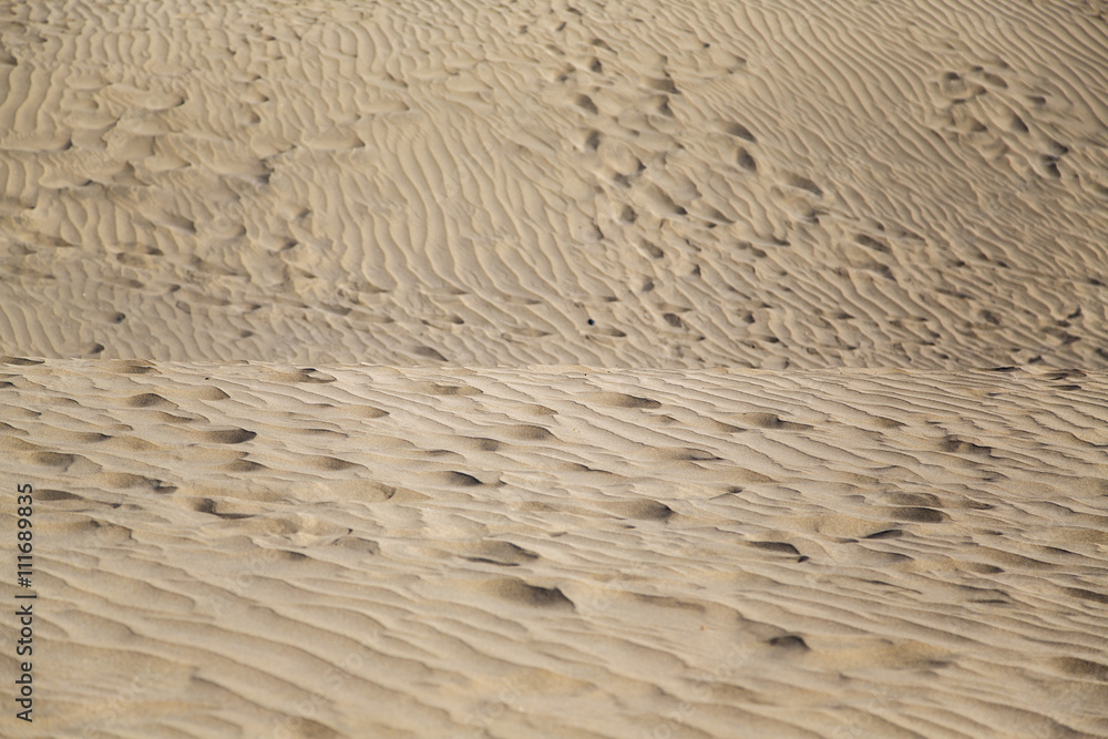 Sand texture Stock Photo | Adobe Stock