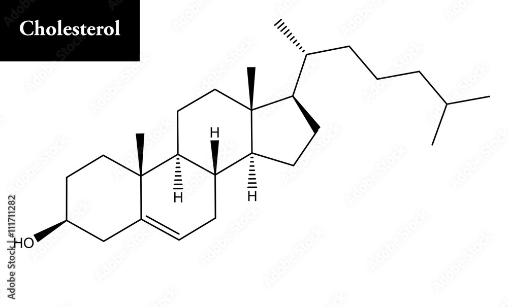 Molecular structure of cholesterol Stock Illustration | Adobe Stock