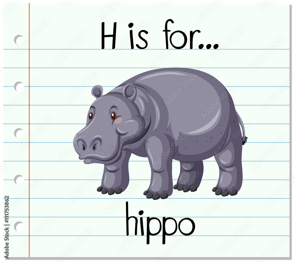 Flashcard letter H is for hippo Stock Vector | Adobe Stock