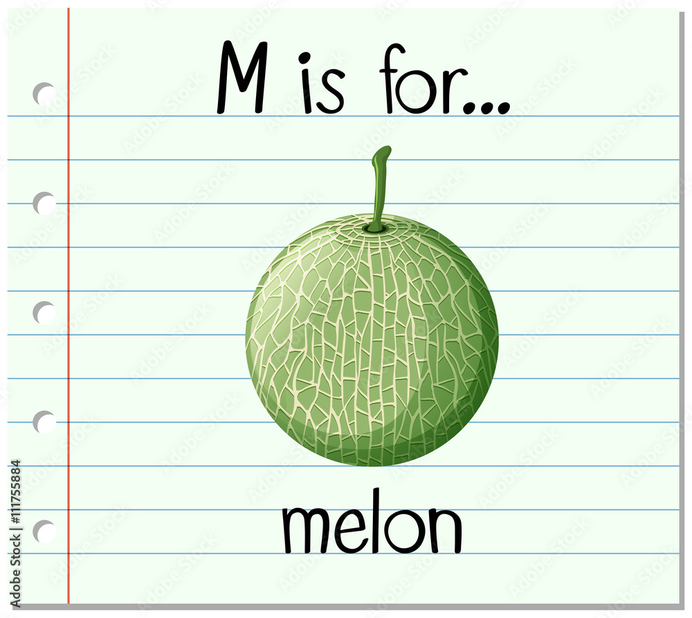Flashcard letter M is for melon Stock Vector | Adobe Stock