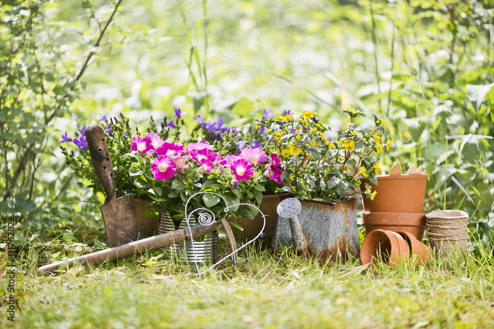 Blumen im Garten Stock Photo | Adobe Stock