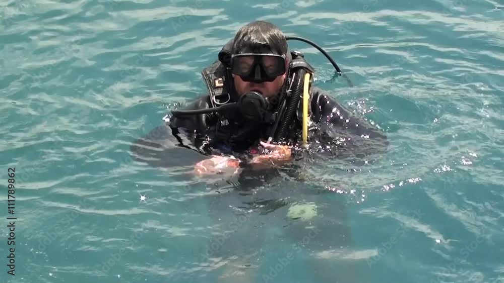 Scuba-diver floating then submerging Stock Video | Adobe Stock