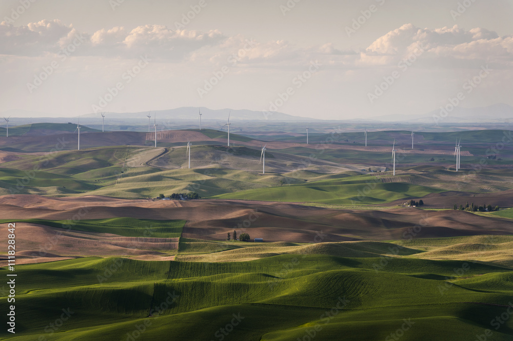 Palouse Wind Turbines. The 40-acre, 58-turbine wind farm, named Palouse ...