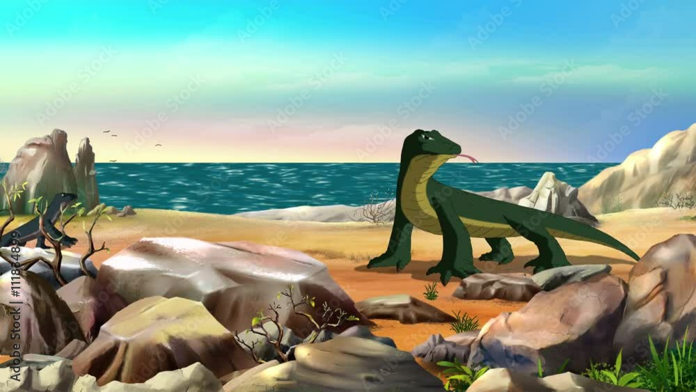 Vidéo Stock A Komodo dragon (Varanus komodoensis) walks along a beach ...