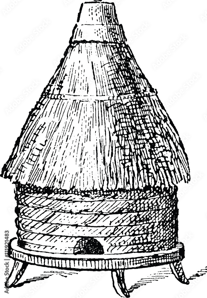 Vintage Beehive Drawing