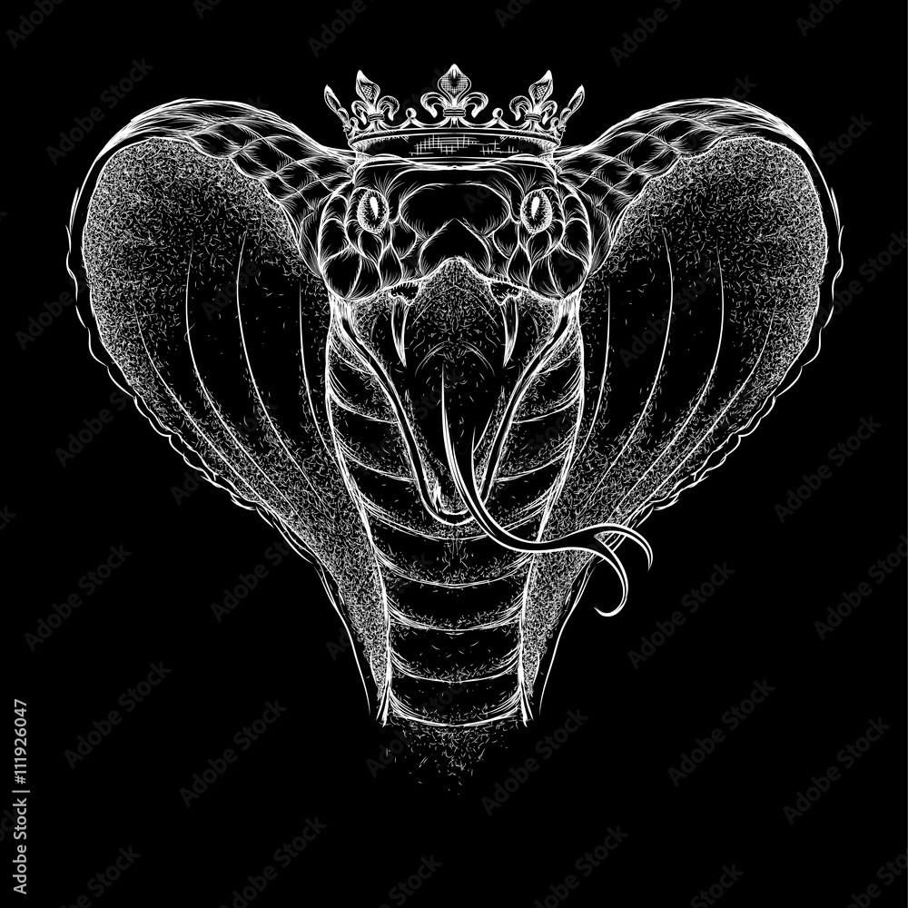 Hand draw cobra portrait. It may be used for design of a t-shirt, bag ...