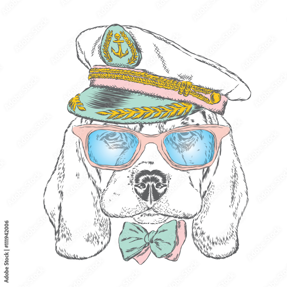 Cute dog in the captain's cap . Sailor. Vector illustration. Design ...