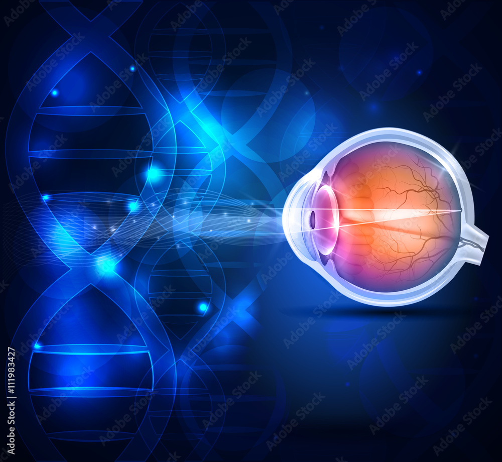 Anatomy of the healthy eye abstract scientific background Stock Vector ...