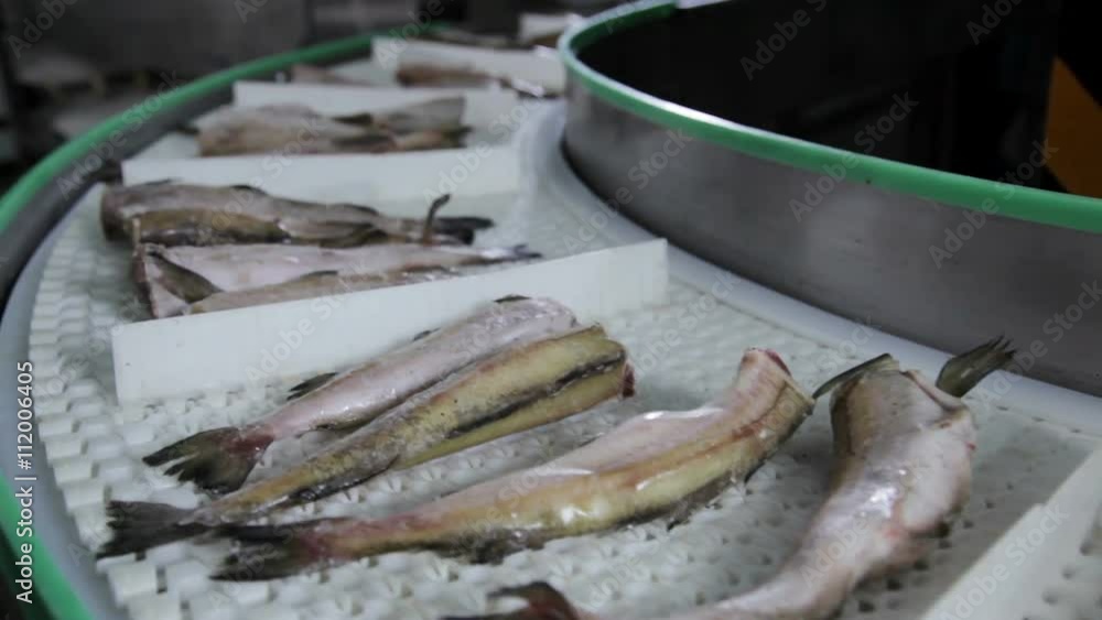 Vídeo do Stock: Fish factory Seafood Production | Adobe Stock