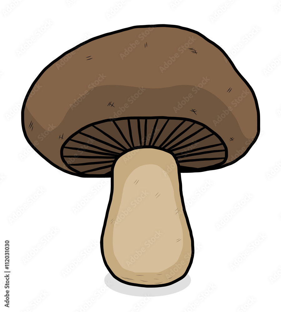 brown mushroom / cartoon vector and illustration, hand drawn style ...