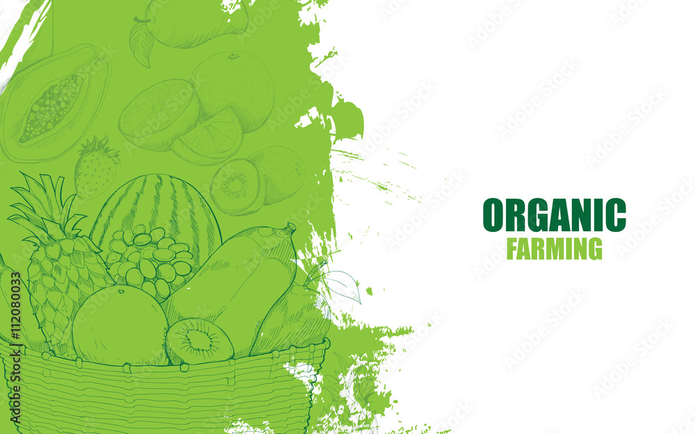 organic fruits background. hand drawn fruits. Vector illustration ...