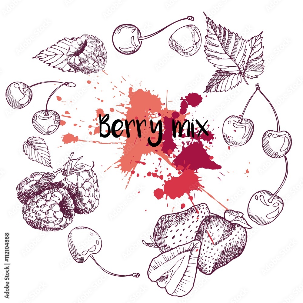Vector set of garden berry mix. Hand drawn engraved borger round art ...