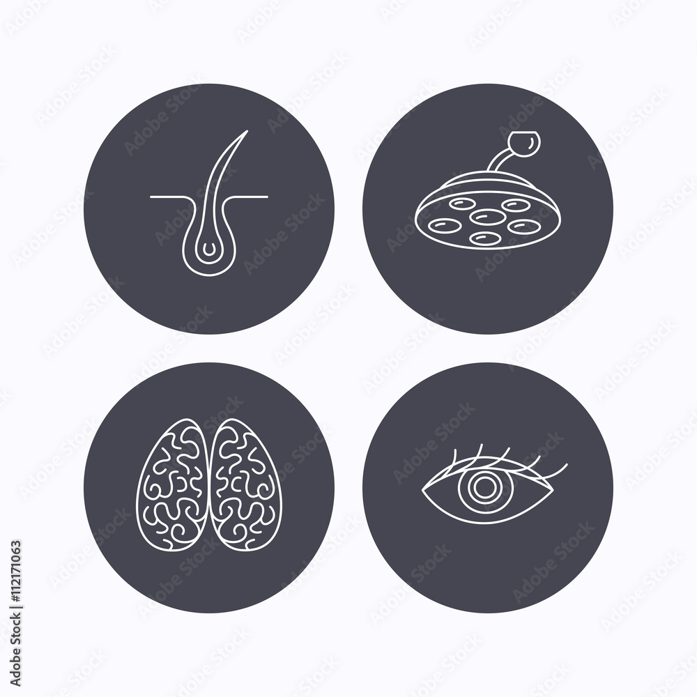 Eye, neurology brain and surgical lamp icons. Stock Vector | Adobe Stock