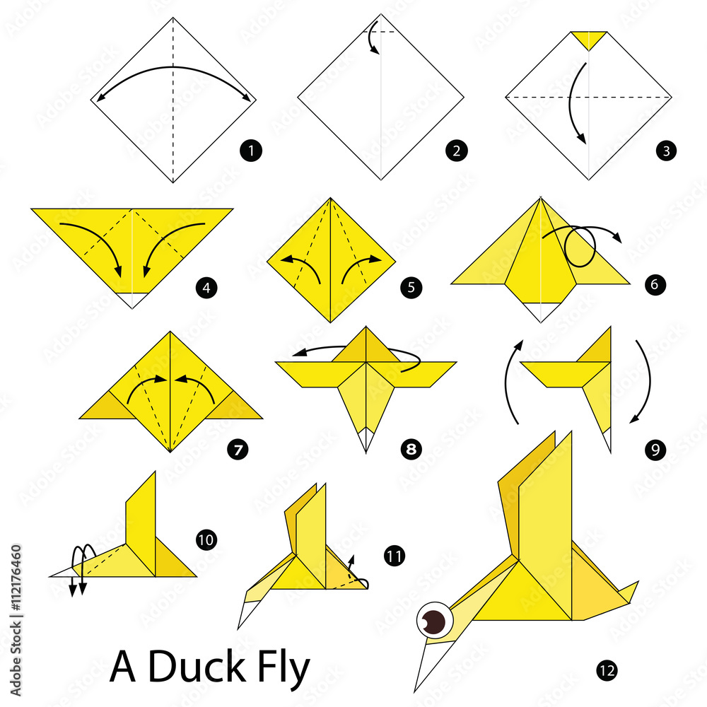 Step by step instructions how to make origami A Duck Fly. Stock Vector ...