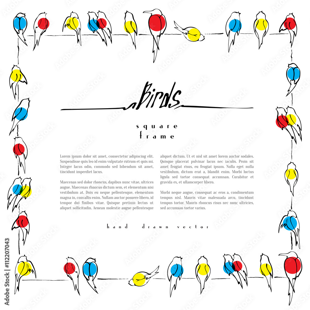 Birds on wire vector square frame, various birds silhouettes made with ...