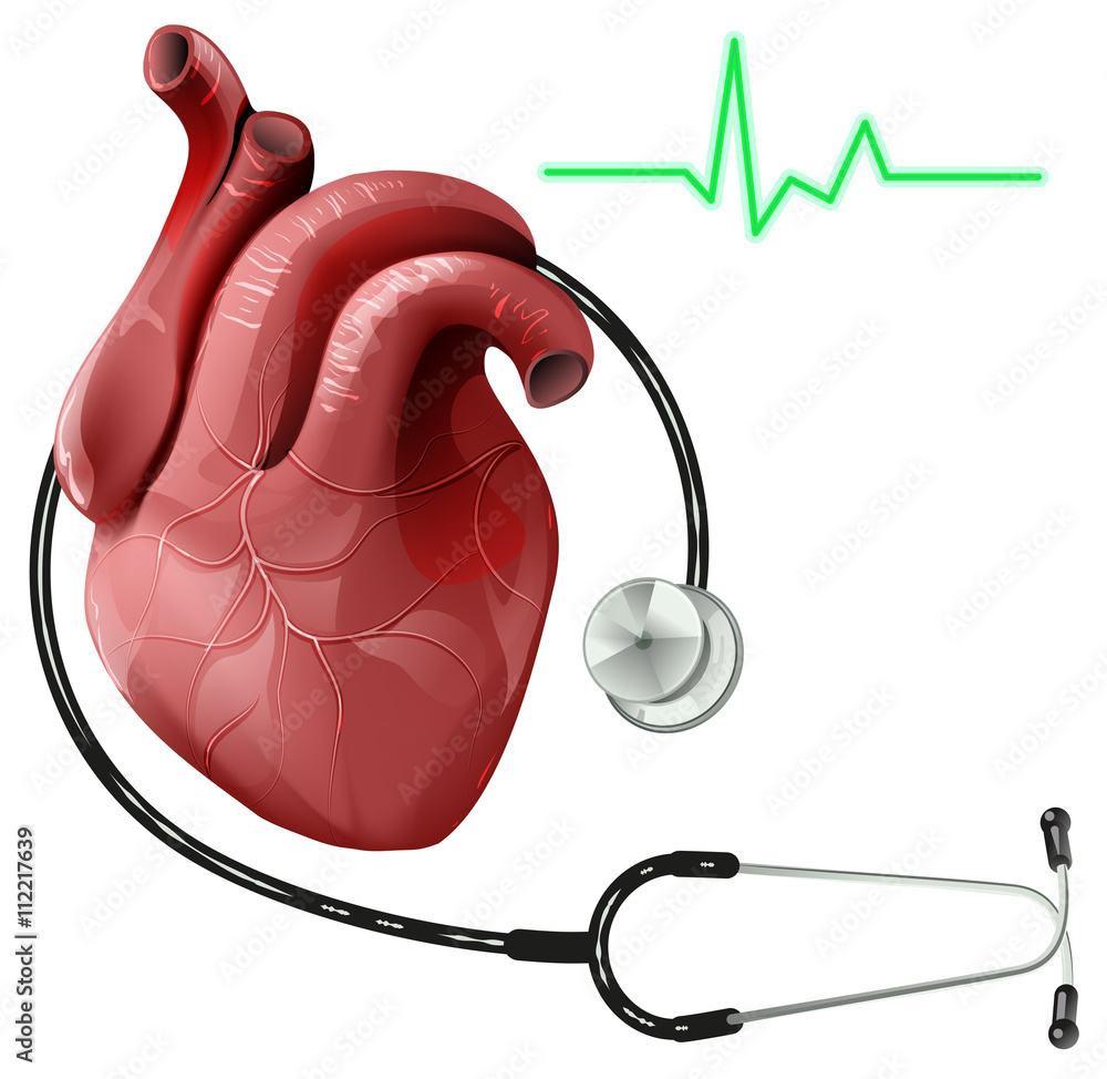 Realistic human heart and stethoscope Stock Vector | Adobe Stock