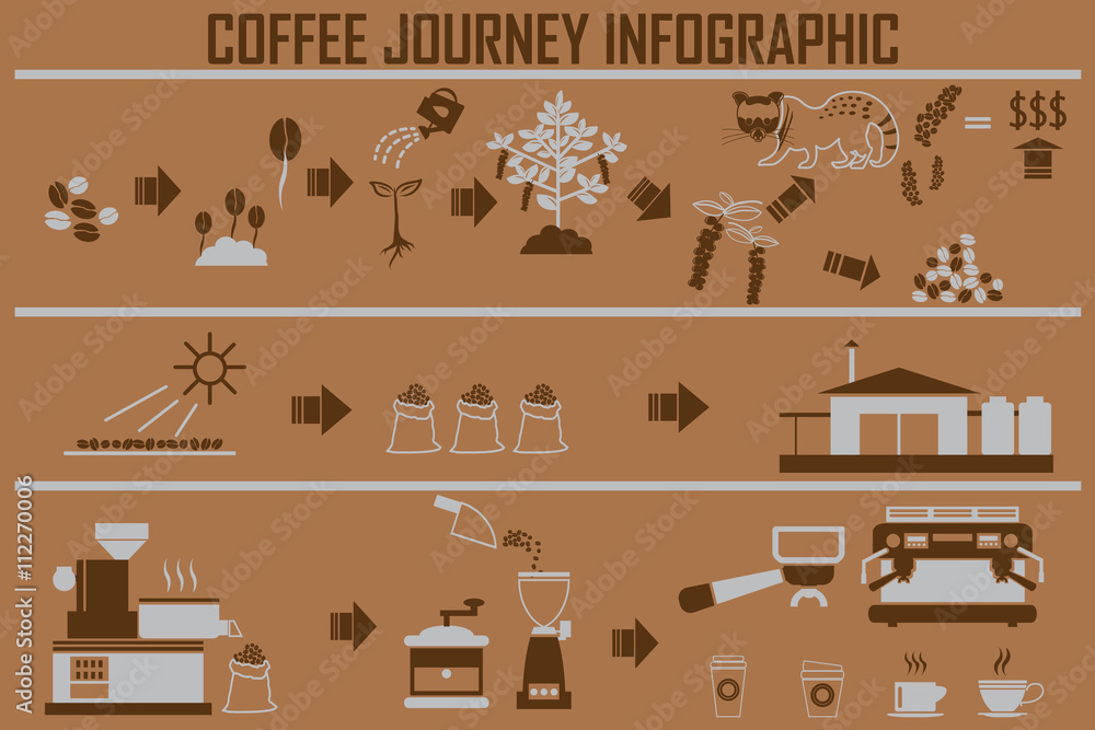 Coffee infographic flat vector illustration. Preparation coffee Stock ...