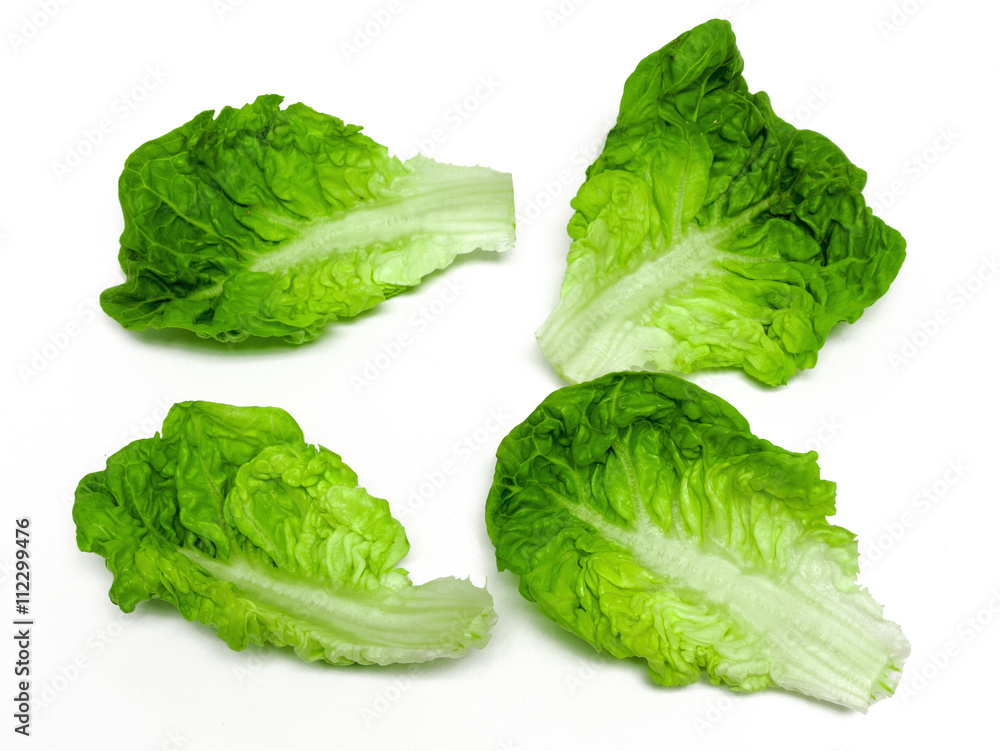 Salatblätter Stock-Foto | Adobe Stock