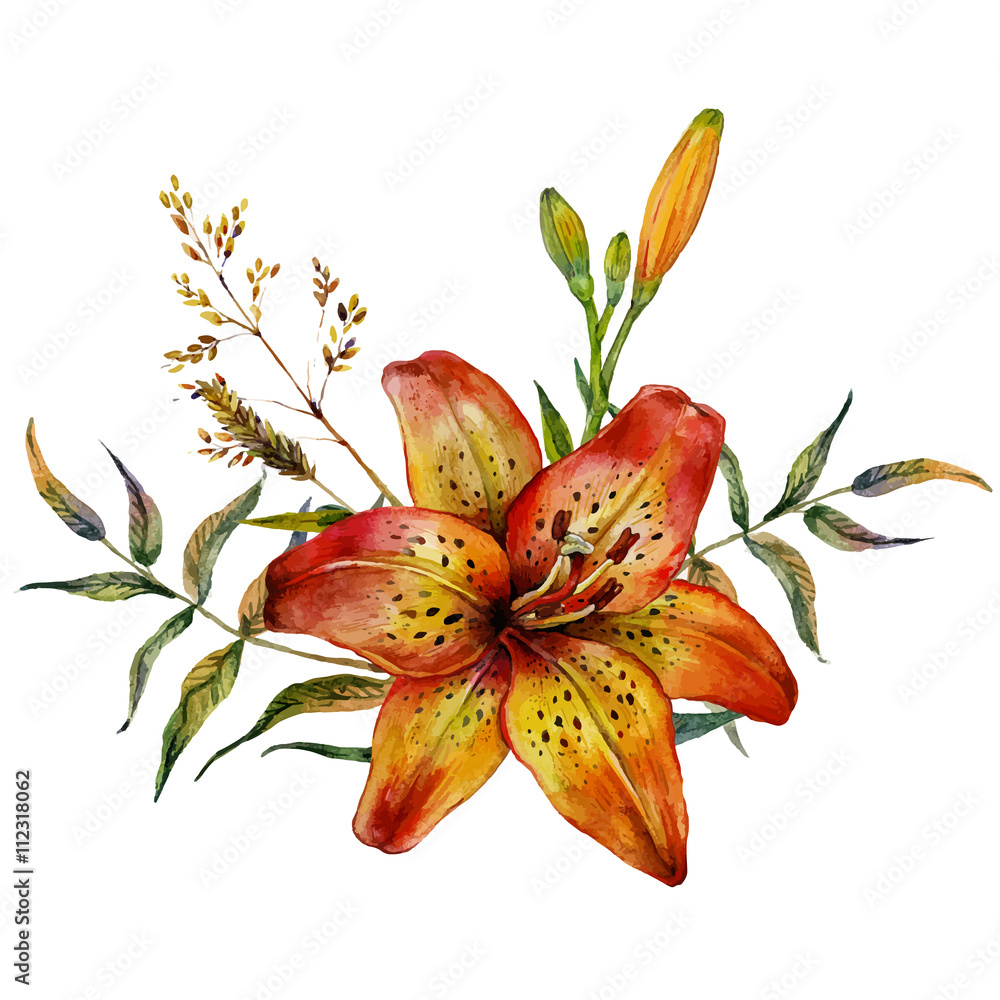 Watercolor Tiger lily Stock Vector | Adobe Stock
