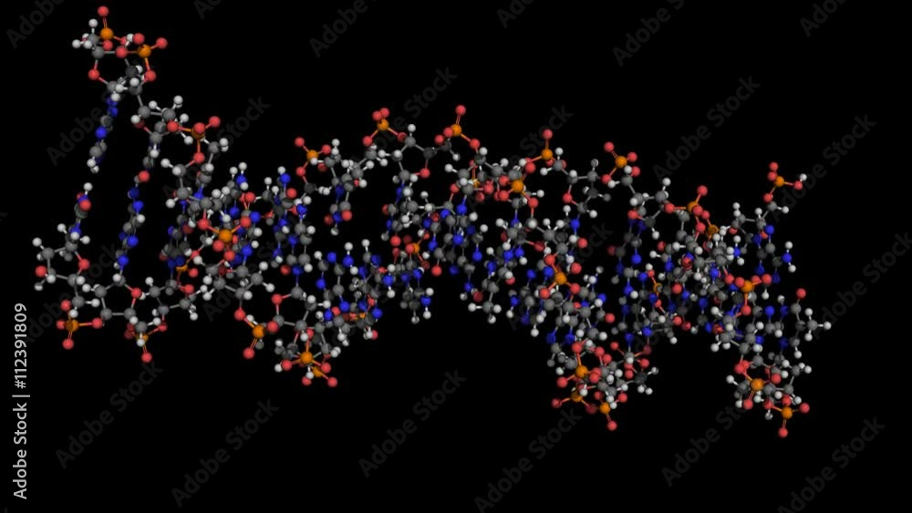Vidéo Stock dna molecule ball and stick model rotating about x axis ...