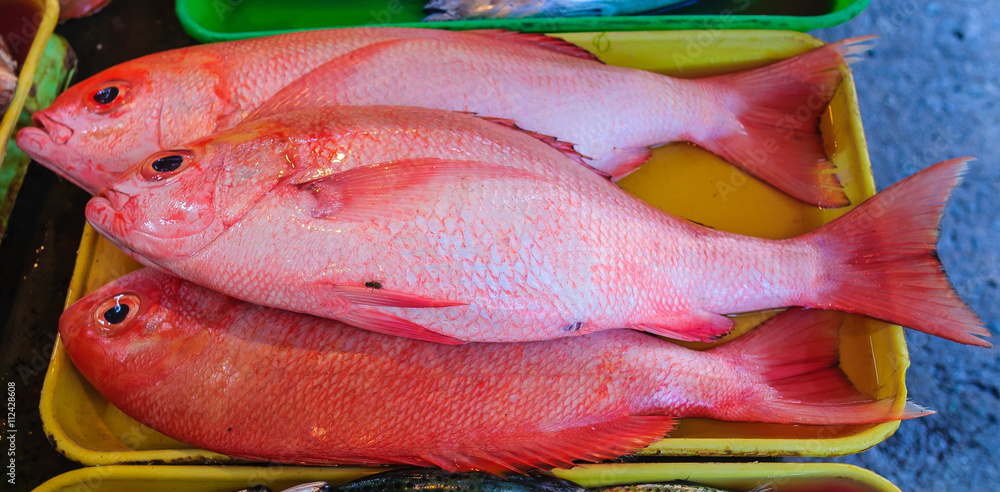 Fresh 'Maya-Maya' - Philippine red snapper Stock Photo | Adobe Stock