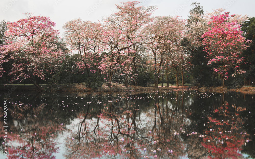 Wachirabenchathat Park or State Railway Public Park or Suan Rod Fai ...