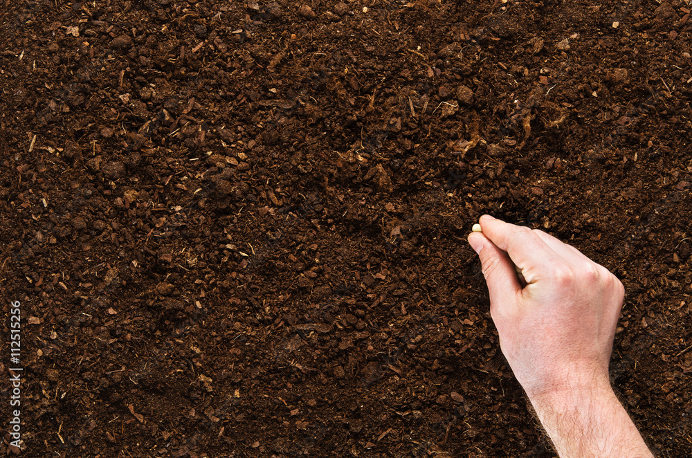 Soil texture background seen from above, top view. Stock Photo | Adobe ...