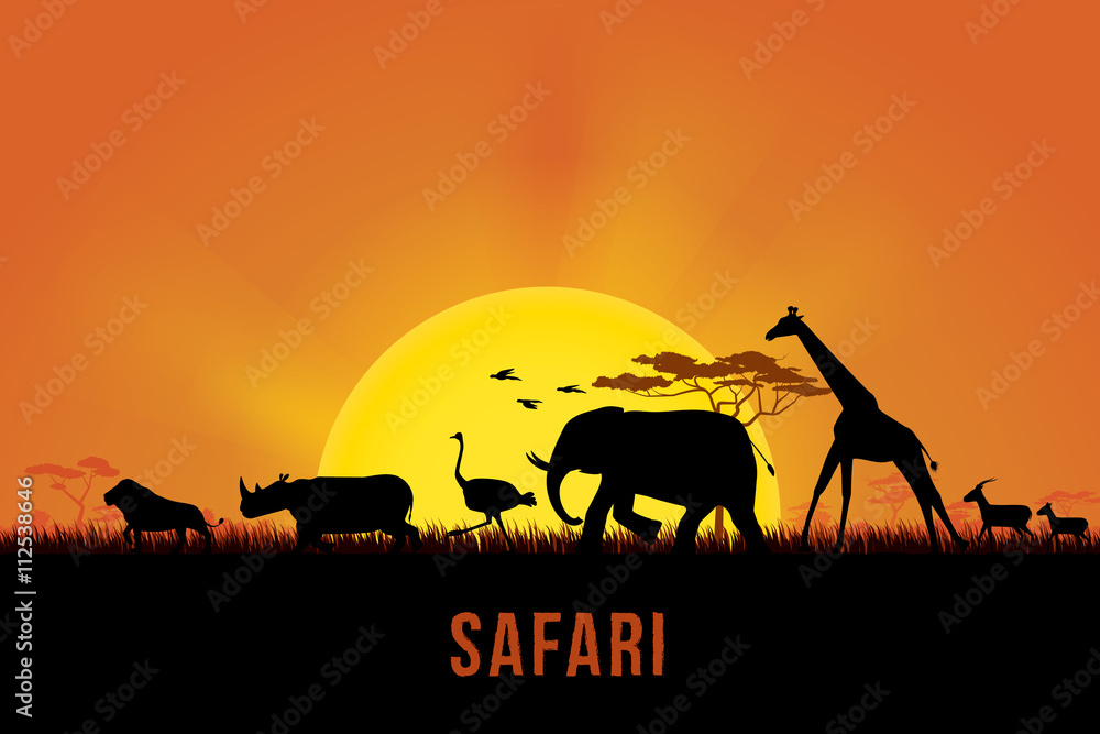Vector illustration of Africa landscape with wildlife and sunset ...