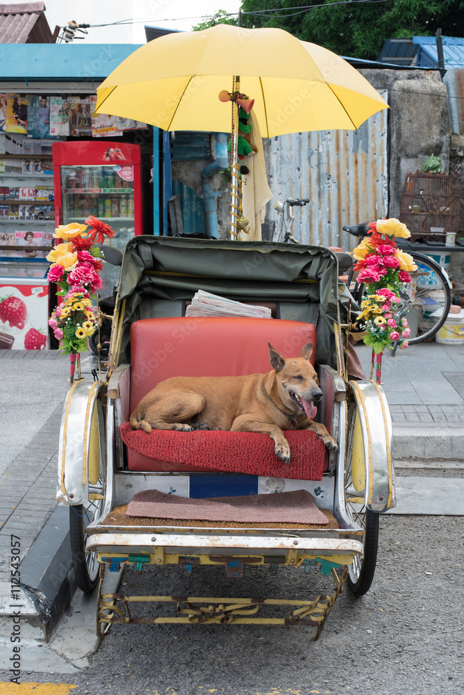 Dog on rickshaw parked on roadside in Georgetown, Penang, Malaysia ...