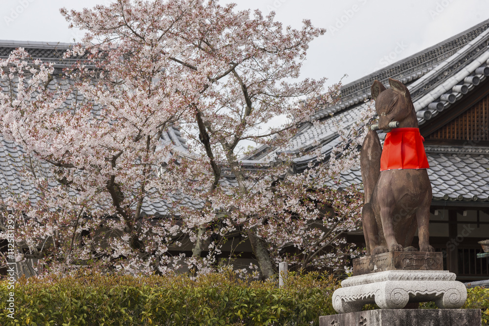 Statue of the fox-like deity Inari near the main hall of the Shinto ...