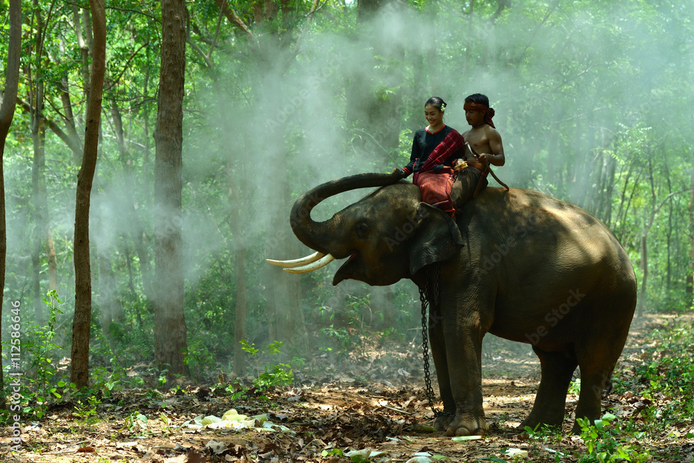 Young man and pretty girl riding on the back of an elephant. Stock ...