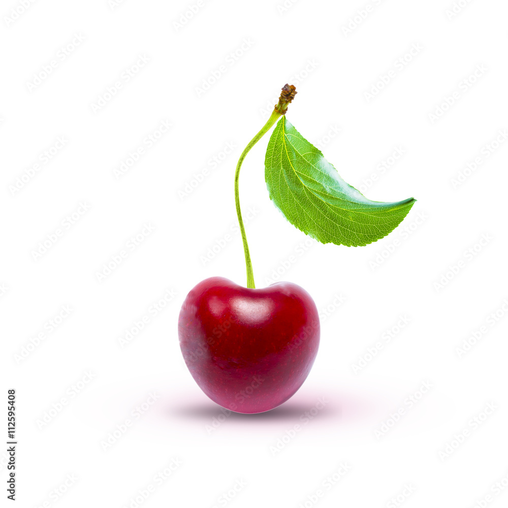 Cherry isolated on white with clipping path. Ripe cherry isolated ...