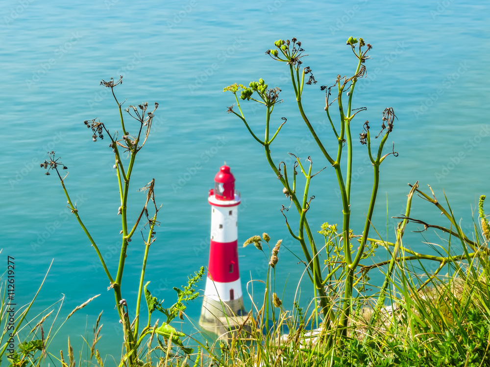 Spring Flowers Lighthouse | Best Flower Site