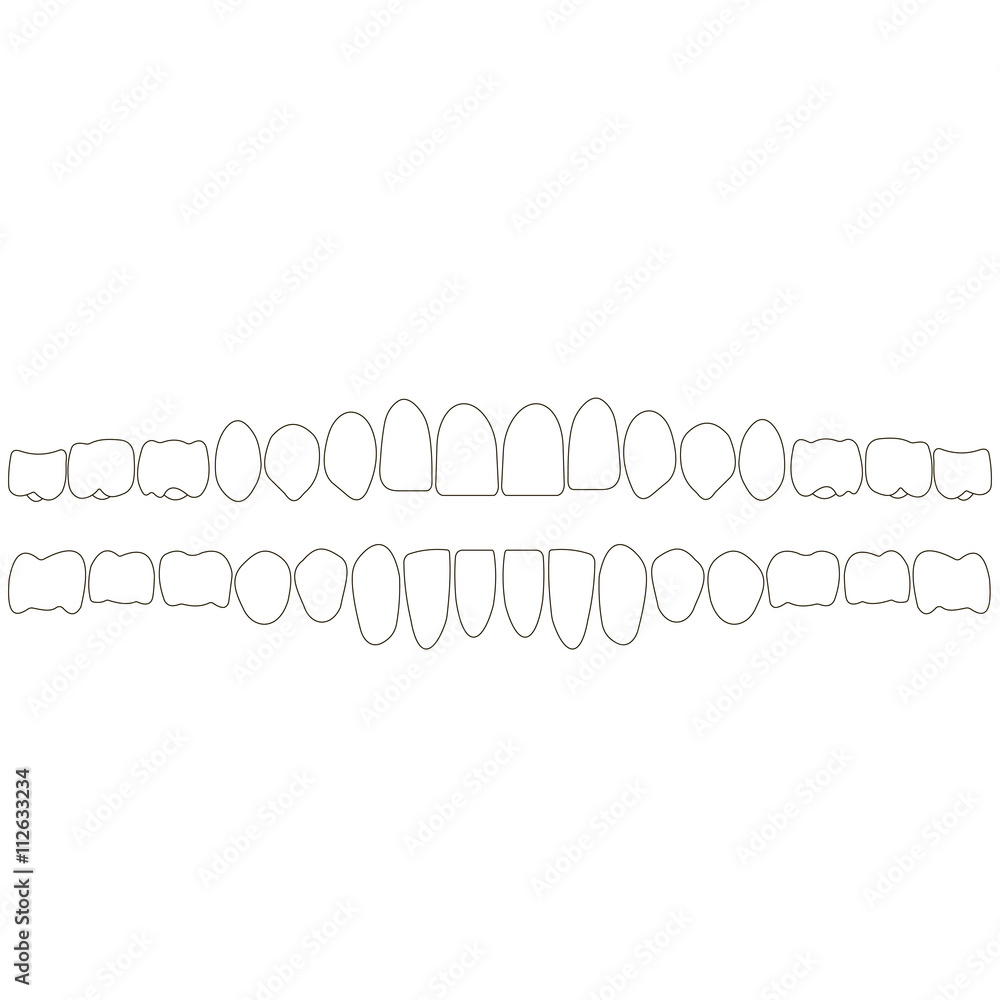 human teeth isometric vector icons set. Dental implant vector flat ...