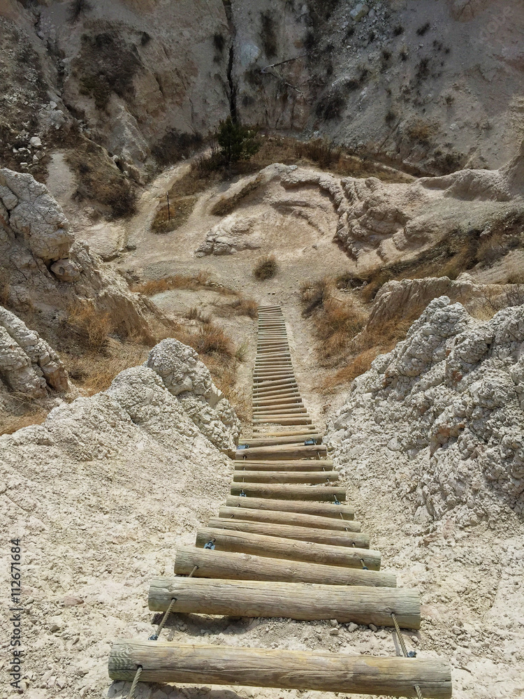 Looking down at at log ladder from the top of a hiking trail in ...