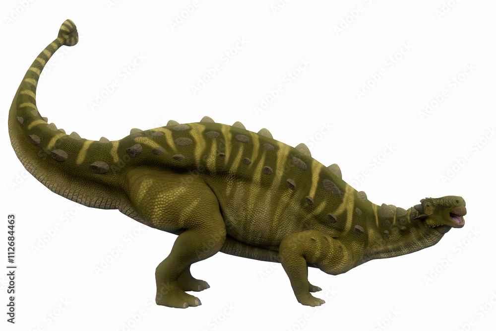 Talarurus Side Profile - Talarurus was a herbivorous armored dinosaur ...