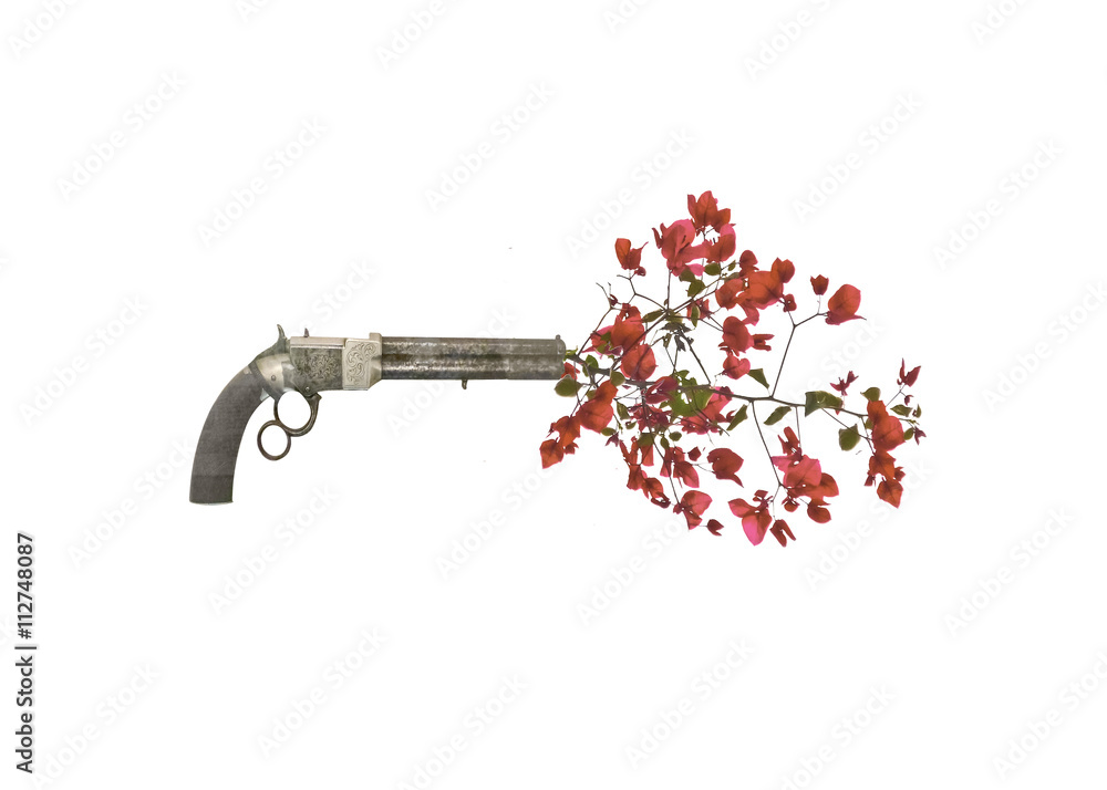 Gun Shooting Flowers